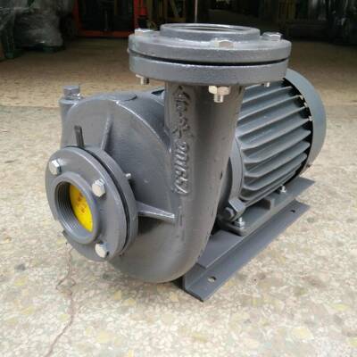 卧式大流量低扬程水泵TJ40125可配封闭/敞开式叶轮40HP5寸泵头