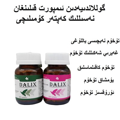 新疆包邮荷兰顶峰雌雄鸽宝Urukluk kaptar komlaq