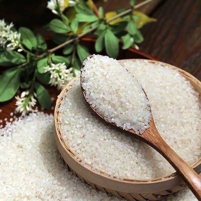 粥米2025年新米五常稻花香碎米 原粮稻花香2号碎米 五斤包邮