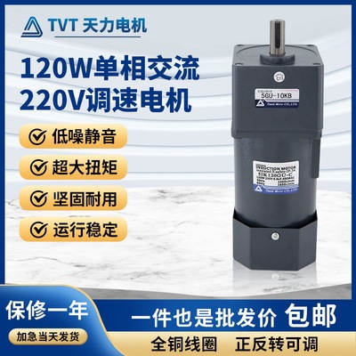 TVT齿轮减速电机120W YN90-120 220V380V慢定速交流调速电机厂家