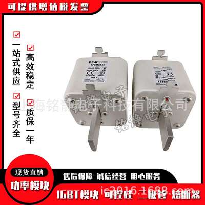 170M8540 170M8541 170M8542 170M8543巴斯曼熔断器现货170M8544