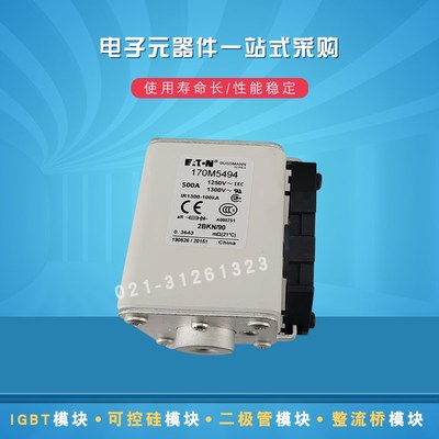 快速熔断器保险丝170M5484 5494 5495 5496 5497 5498 5499 5500