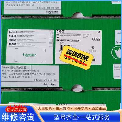 {议价}SEPAM S20 59607