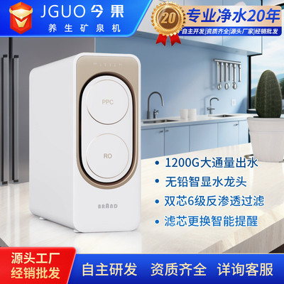1200G显示TDS值复合PPC过滤无罐纯水机出水直饮厨下安装净