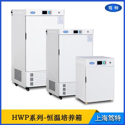 HWP-9012细菌微生物恒温箱实验室小型电热恒温培养箱
