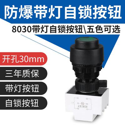 YH8030防爆自锁按钮塑料防腐带指示灯exd钻孔30mm控制启停开关ct6