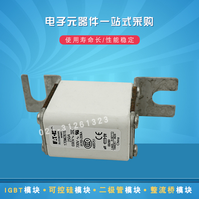 快速熔断器保险丝170M2700 2701 2702 2708 2709 2710 2711 2712
