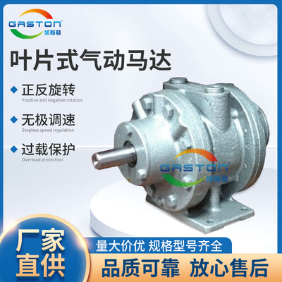 GASTON加斯顿 双出力轴气动马达 叶片式气动减速马达 高转速马达