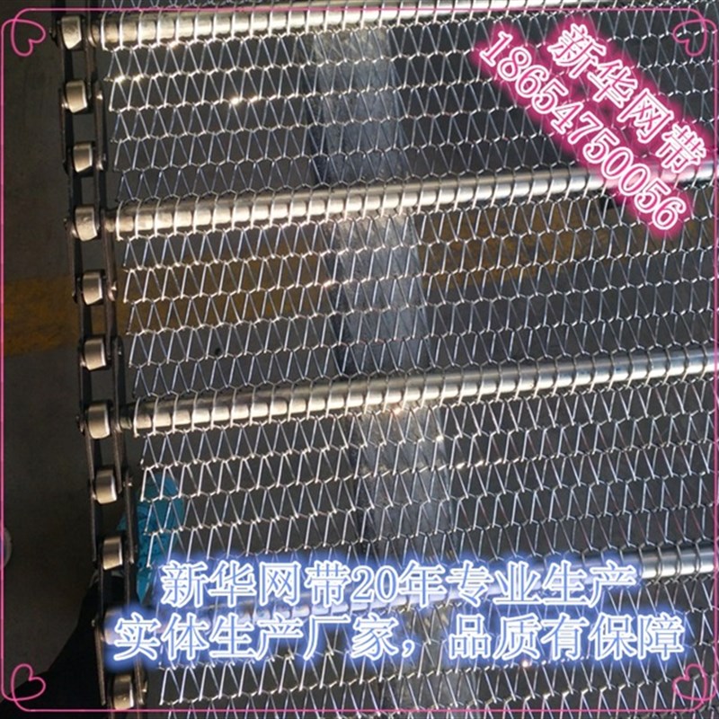 不锈钢链条网带流水线 2019新品热卖清洗机网链 链板传送带输送线