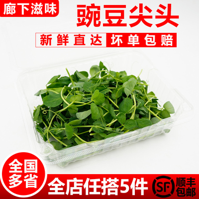 豌豆尖头100克/盒清炒火锅