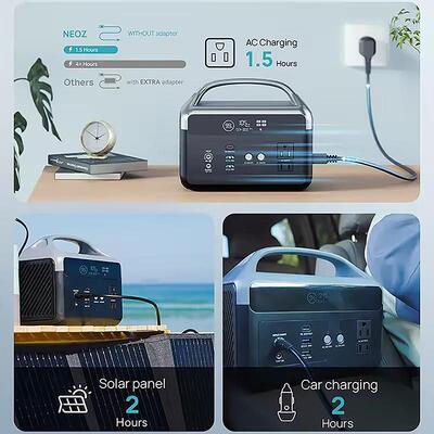 Sueriior Qualty LiFePOp4 220v 110v Battery Replaceable 300w