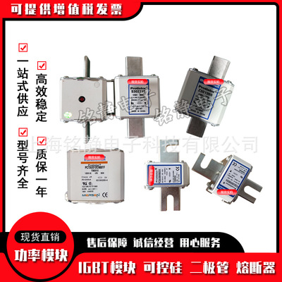 全新现货PC73UD13C315TF J300503 熔断器
