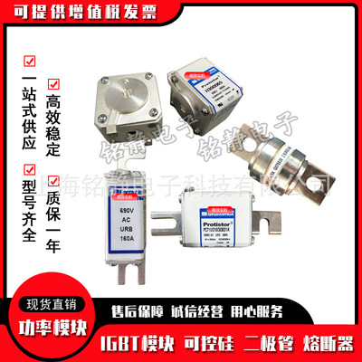 全新现货PC33UD69V700D1A  W300261熔断器