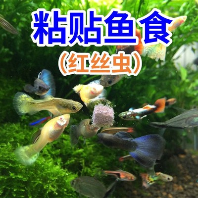 红线虫鱼食冻干红丝虫水蚯蚓小型观赏鱼饲料O孔雀鱼灯科龟粮丰年