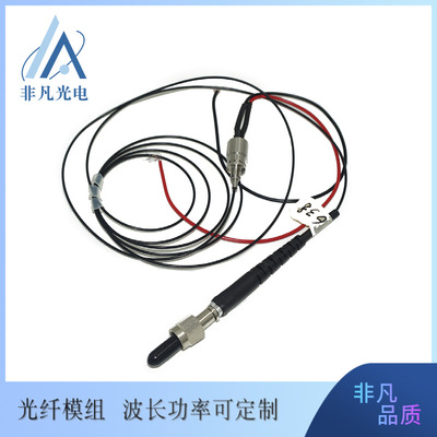 660nm5mw10mw50mw100mw单模红光光纤模组芯径3um/60um接口FC/SC