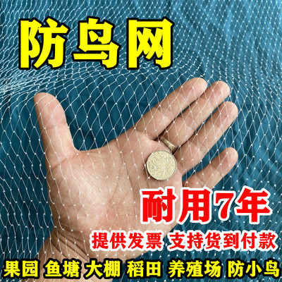 免费开票耐晒耐用果园防鸟网厂家