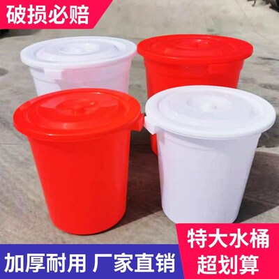 精选塑料桶特大加厚水桶家用储水用大号小酵素桶带盖发酵桶大桶大