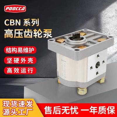 液压泵齿轮高压油泵CBN-F306液压齿轮泵微型厂家现货速发