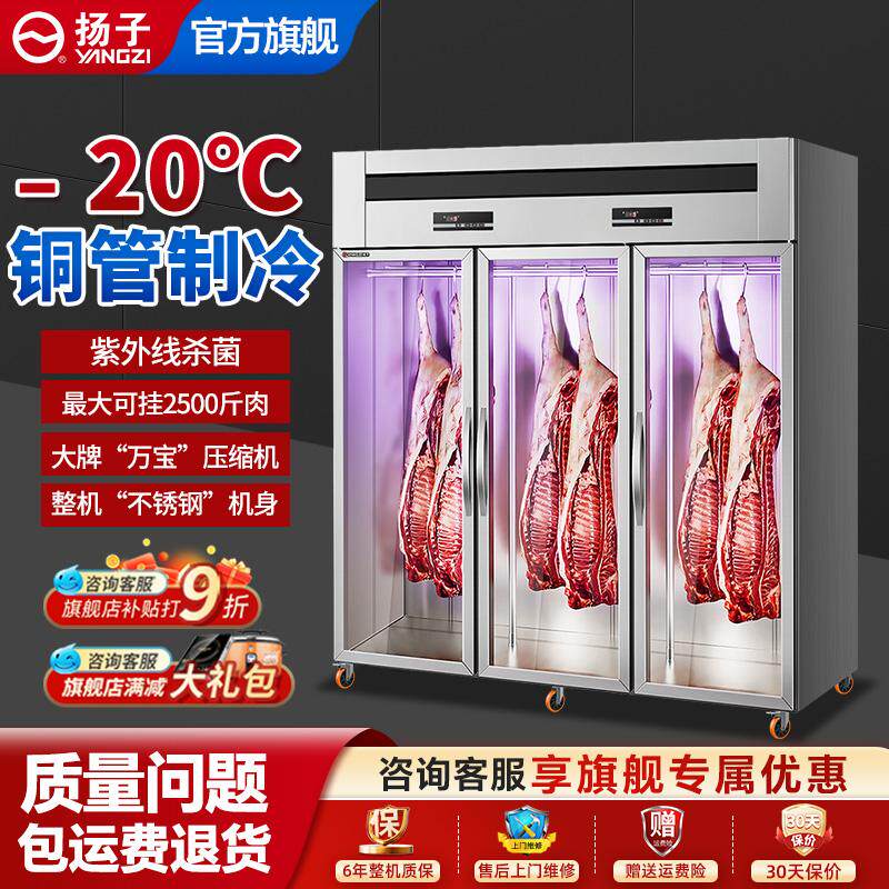 扬子挂肉柜商用熟成柜保鲜柜鲜肉冷冻柜冷藏立式冷鲜肉排酸展示柜