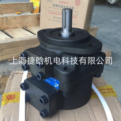 TZYY 榆次液压 叶片式油泵 YB-B60B-DU-FL-50 YB-B74B-DU-FL-50