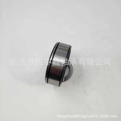 SL024922 SL024924 SL024926 SL024928  装满圆柱滚子轴承