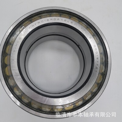 SL04 -5028PP圆柱滚子轴承SL045028PP-2NR NNF5028ADB-2LSV