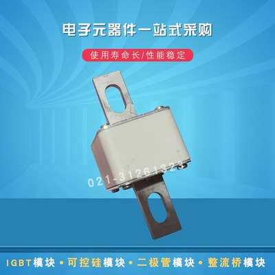 快速熔断器保险丝170M5616 5617 5618 5644 5645 5646 5647 5648