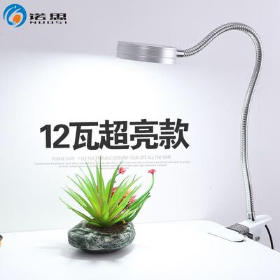 长杆臂夹式护眼超亮强光台灯工作纹绣书桌灯LED12W大功率带插电头