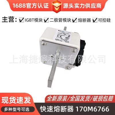 170M6766 170M6808 快速熔断器 保险丝 电子元器件 量大价优