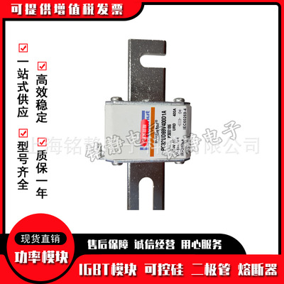 全新现货PC30UD69V450D1A  S300695熔断器