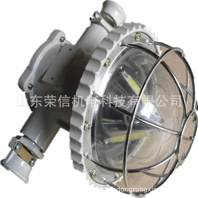 DGS36/127L(A)矿用隔爆型LED巷道灯 135---6271----8011