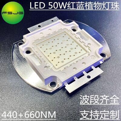 大功率红蓝双色植物灯芯 50w集成LED灯珠 440+660NM 大棚果蔬补光