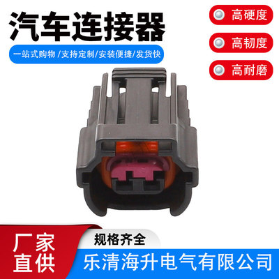 2孔连接器DJ7029Z-2.2-21接插件母插头8E0973722