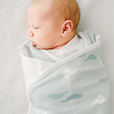 Nest Desikgns防惊跳睡袋婴儿新生儿襁褓包裹宝宝春秋睡袋包被神