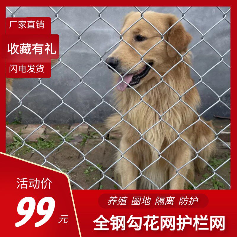 镀锌铁丝网围栏网养殖钢丝网格圈养牛羊猪狗勾花网果园养鸡护栏网