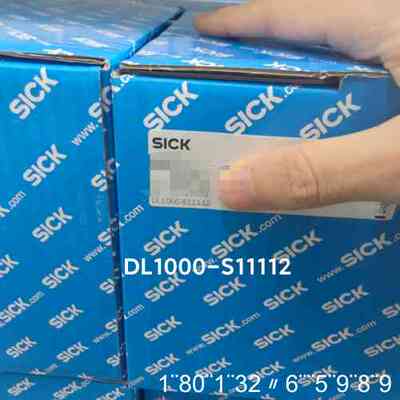 DL1000-S11112