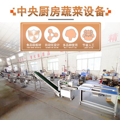广州九盈机械净菜生产线 净菜加工流水线 蔬菜挑拣分切清洗机厂家