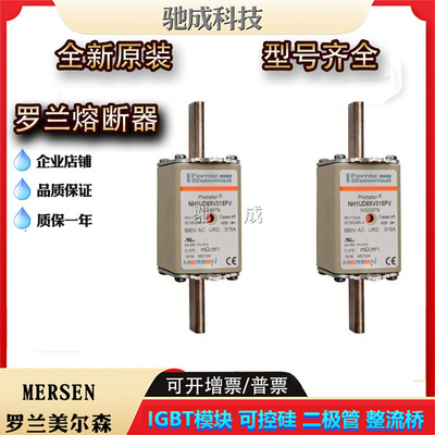 NH1UD69V315PV NH2UD69V350PV NH1UD69V400PV 全新熔断器厂价直销