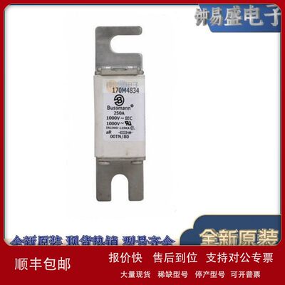美国BUSSMANN熔断器170M4112  170M4113  170M4114  170M4115议价