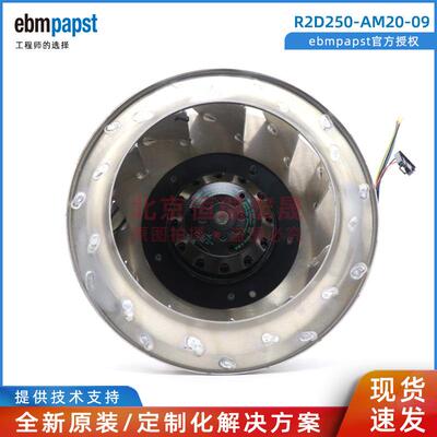 依必安派特 R2D250-AM20-09 400V 0.30A 170W 2700转 带温度感应