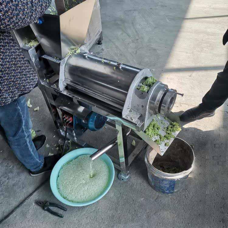 商用果蔬榨汁设备 水果破碎螺旋榨汁机 工业不锈钢生姜压榨机