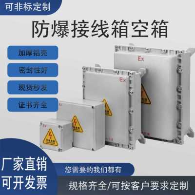 防爆配电箱空箱接线箱检修箱照明箱电源检修照明仪表箱定制接线盒