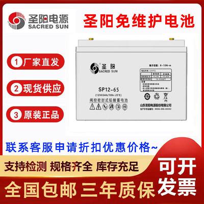 蓄电池SP12-65铅酸免维护UPS EPS电源直流屏应急电源12V65AH