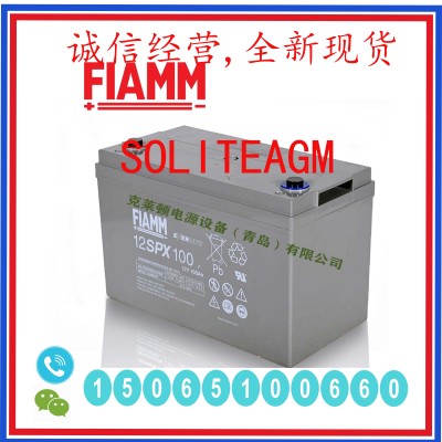 FIAMM非凡蓄电池12SPX10012V100