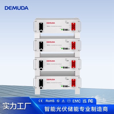 51.2V100Ah低压储能电池LiFePO4磷酸铁锂10度机架电池家用5kwh48V