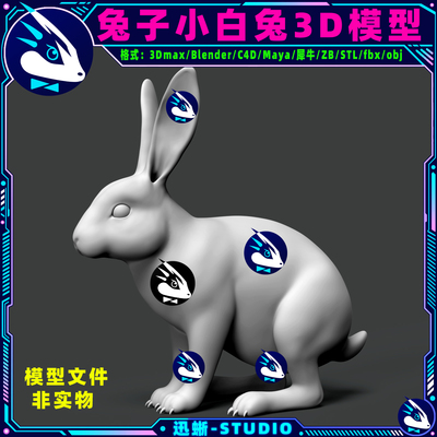 宠物兔子小白兔动物3D模型素材