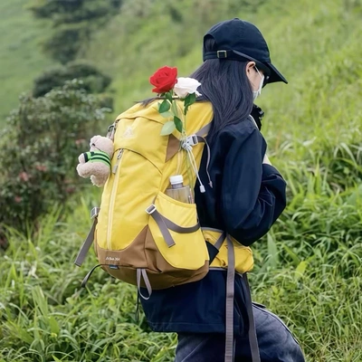 艾王22L30L35L36L户外登山双肩包