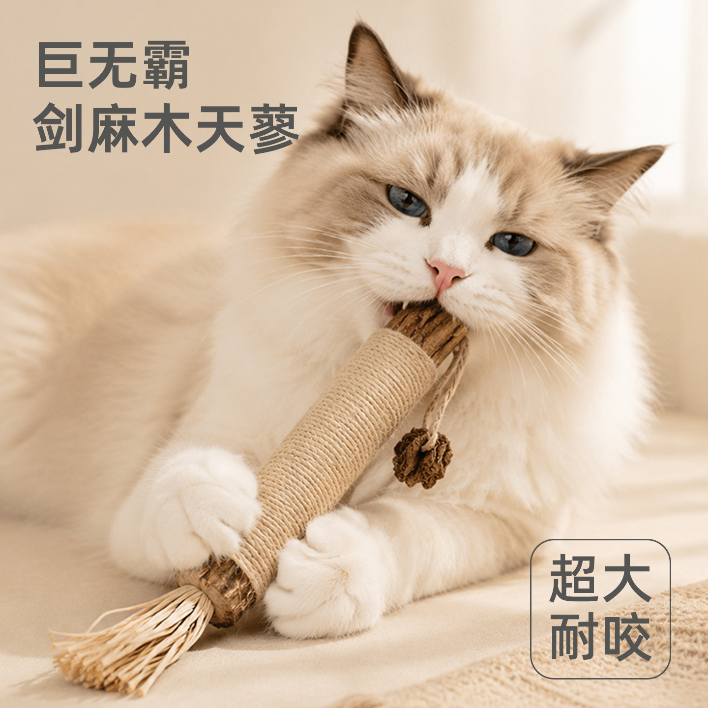 木天蓼磨牙棒猫玩具自嗨解闷耐咬猫薄荷球逗猫棒幼猫磨牙猫咪用品