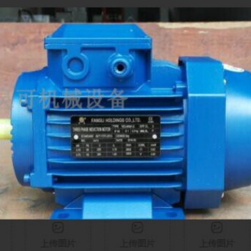 FANLI HOLDINGS CO.,LTD电动机马达 THREE PHASE INDUCTION MOTOR