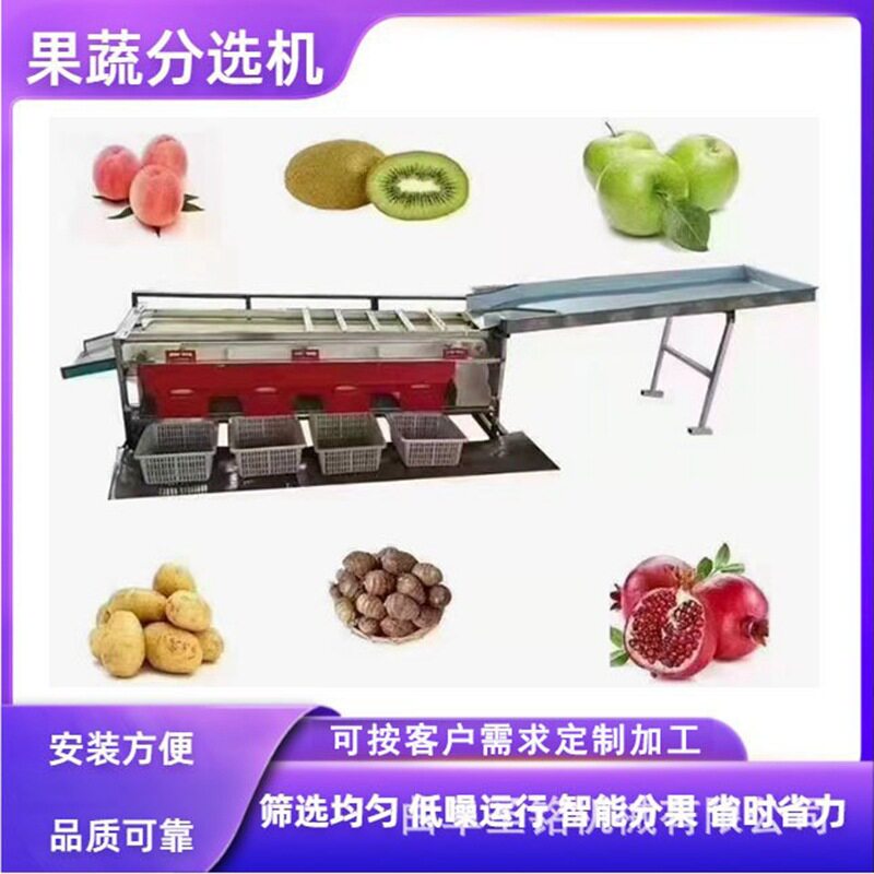 荸荠蓝莓选果机轨道式桃子分大小分选机机 不锈钢轨道式分拣机
